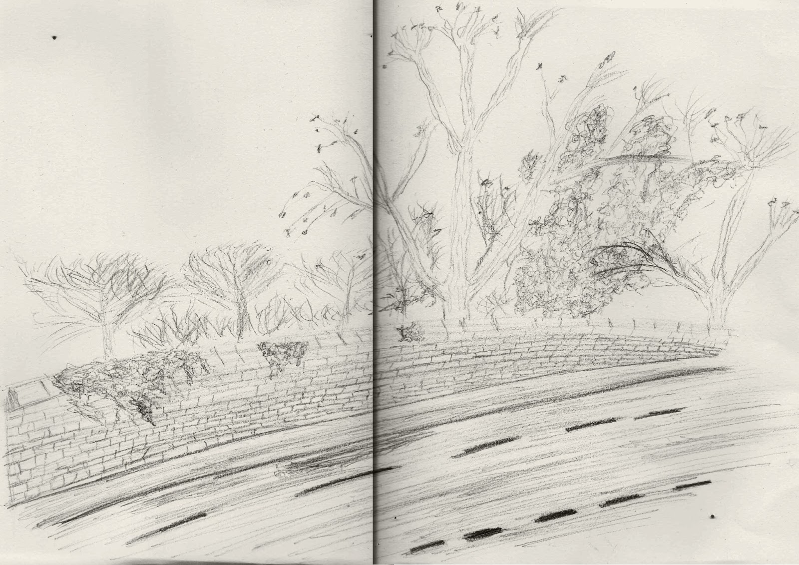 observational drawing (year 1) : week 3 Composition