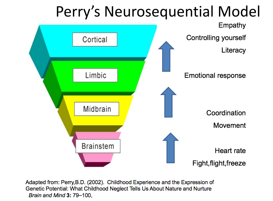 Following the Compass: Brain Day - with Nathan Mikaere-Wallis