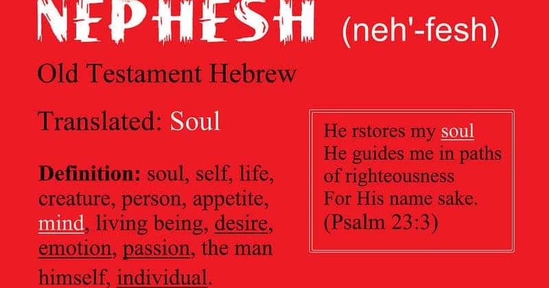 EXAMS AND ME : Nephesh