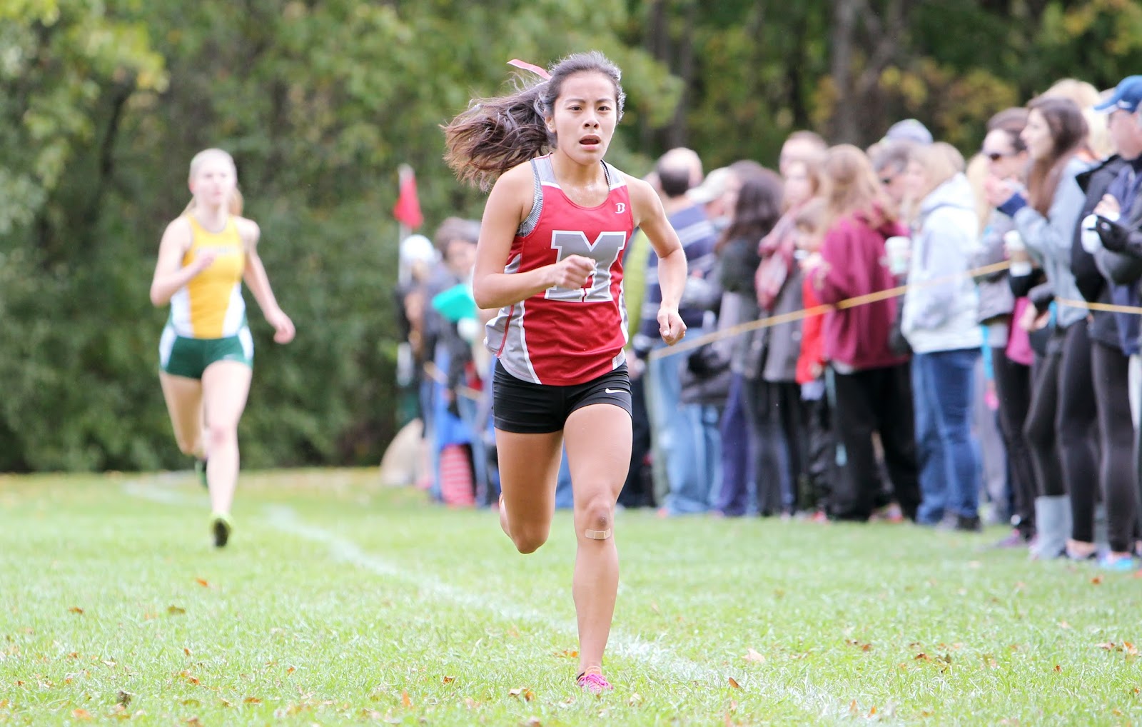 Mark Kodiak Ukena: IHSA Libertyville Class 3A Cross Country Girls ...