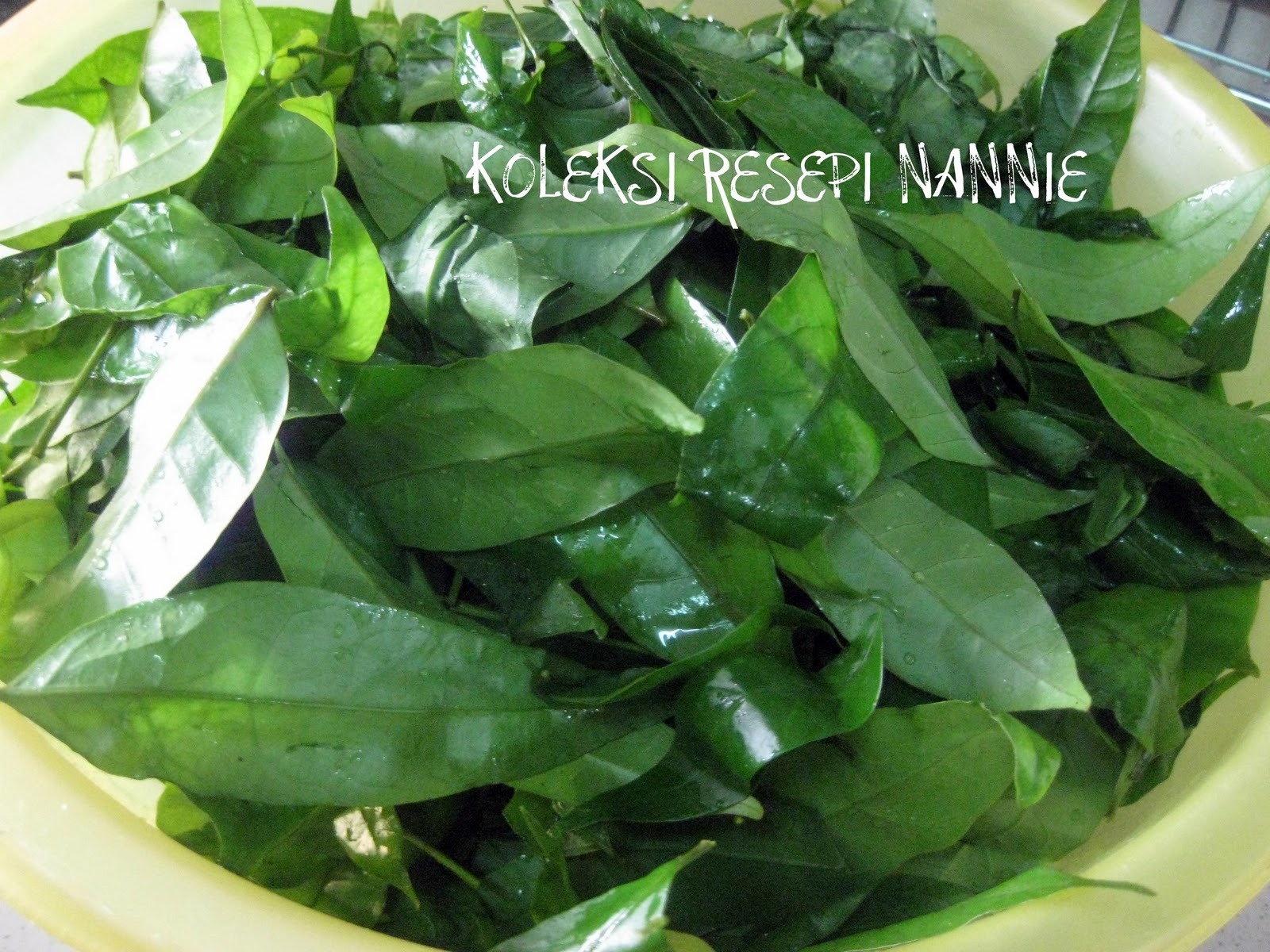 RESEPI NENNIE KHUZAIFAH: MASAK LEMAK PUCUK CEMPERAI