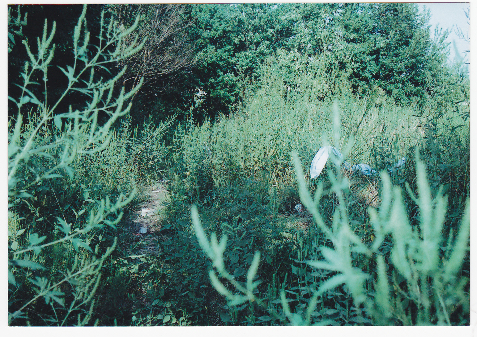 The Skeptical Juror: May 13, 2012