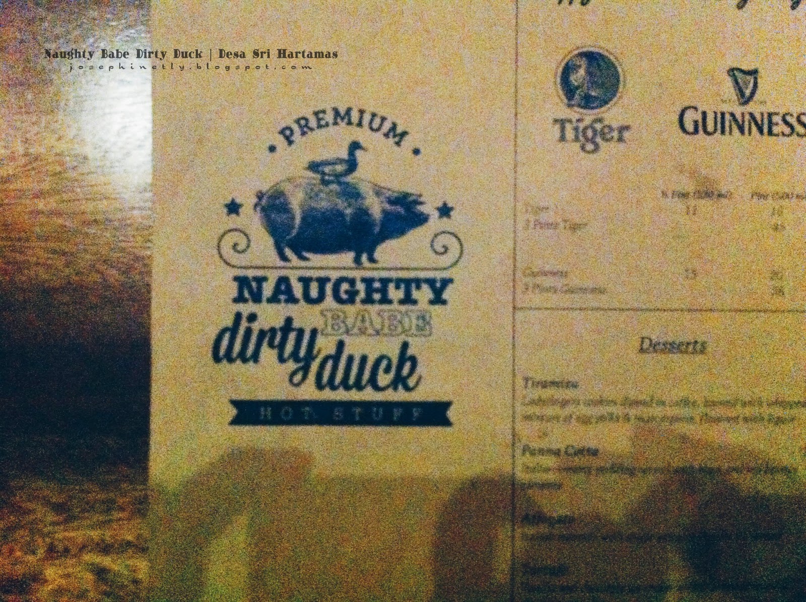 JosephineTang.com: 2014