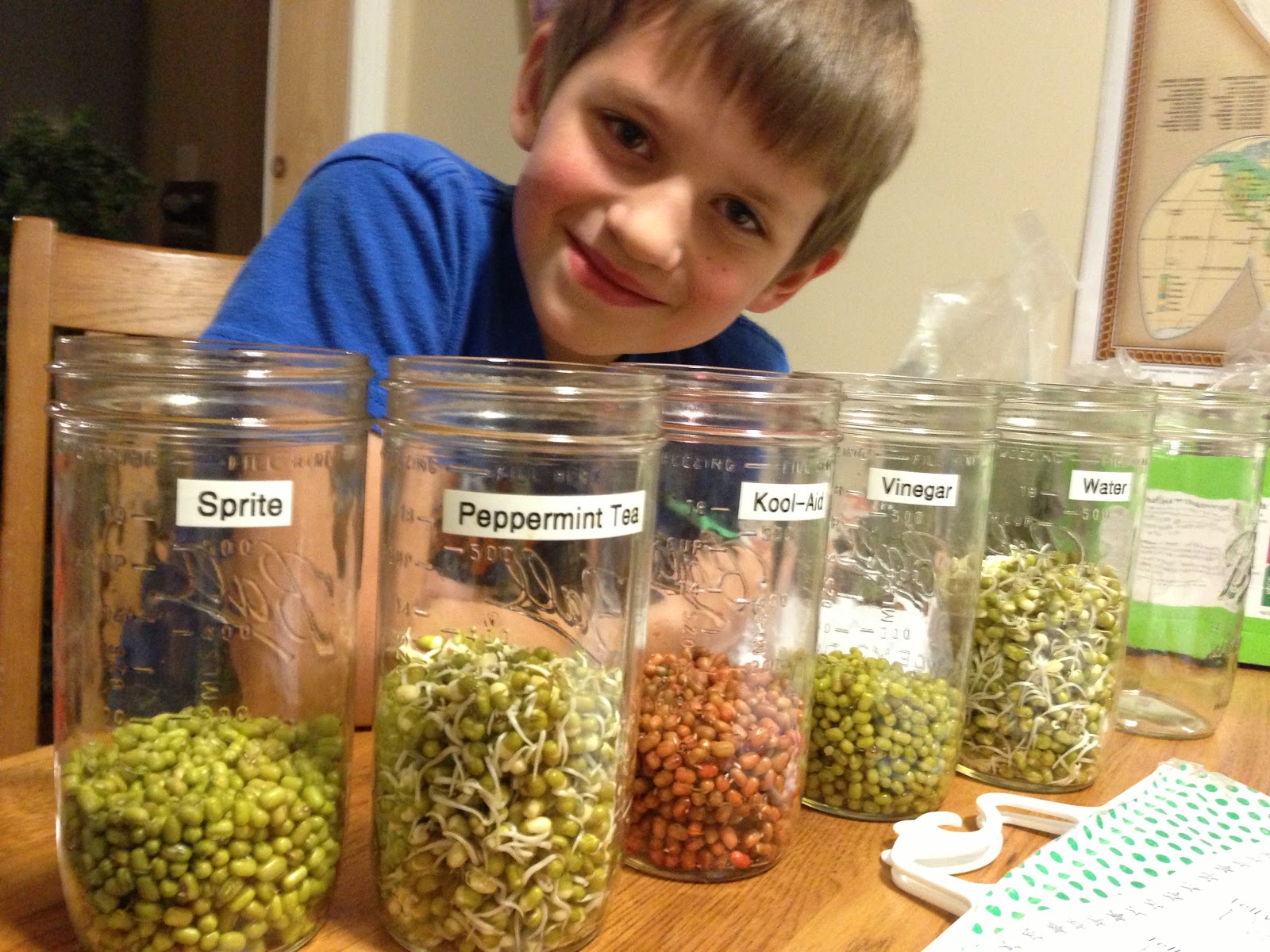 Inside Outside Michiana: Science Fair Projects