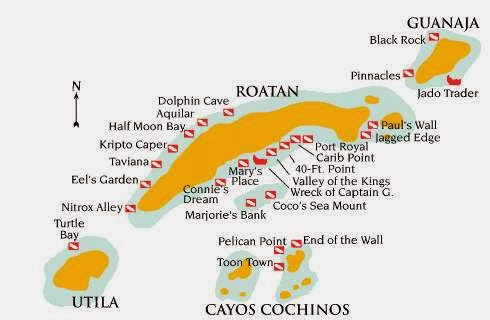 2BCruising: Snorkeling in the Caribbean and The Second Barrier Reef