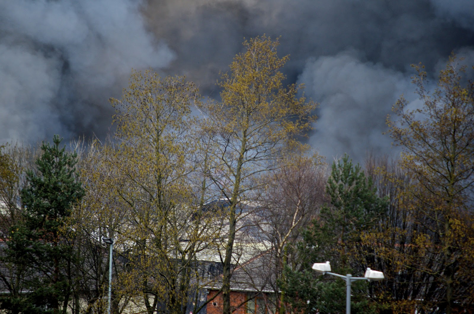 The Plashing Vole: February 2012