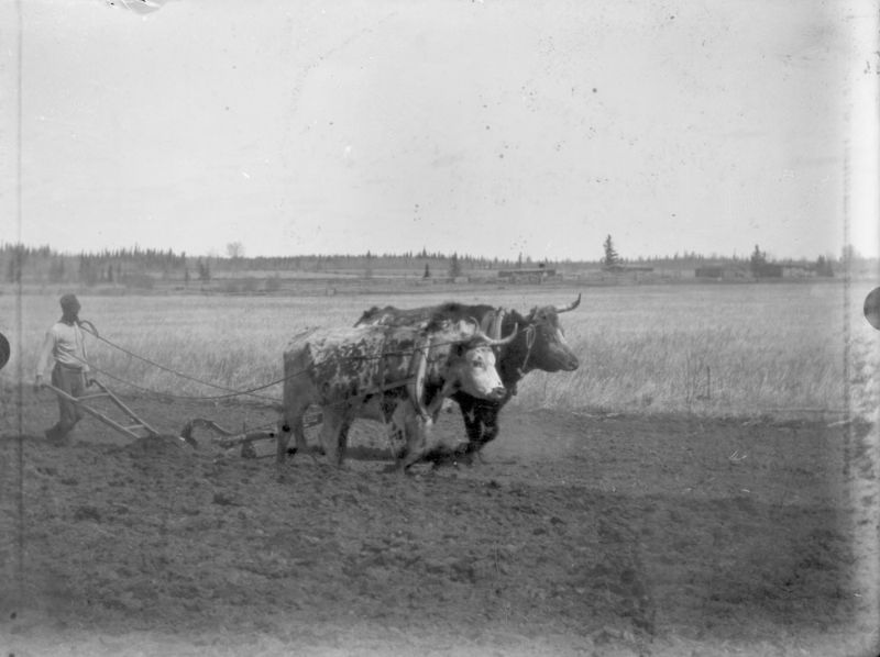 Beautiful Photos Document Farm Life of Spruce Grove, Alberta, Canada in ...