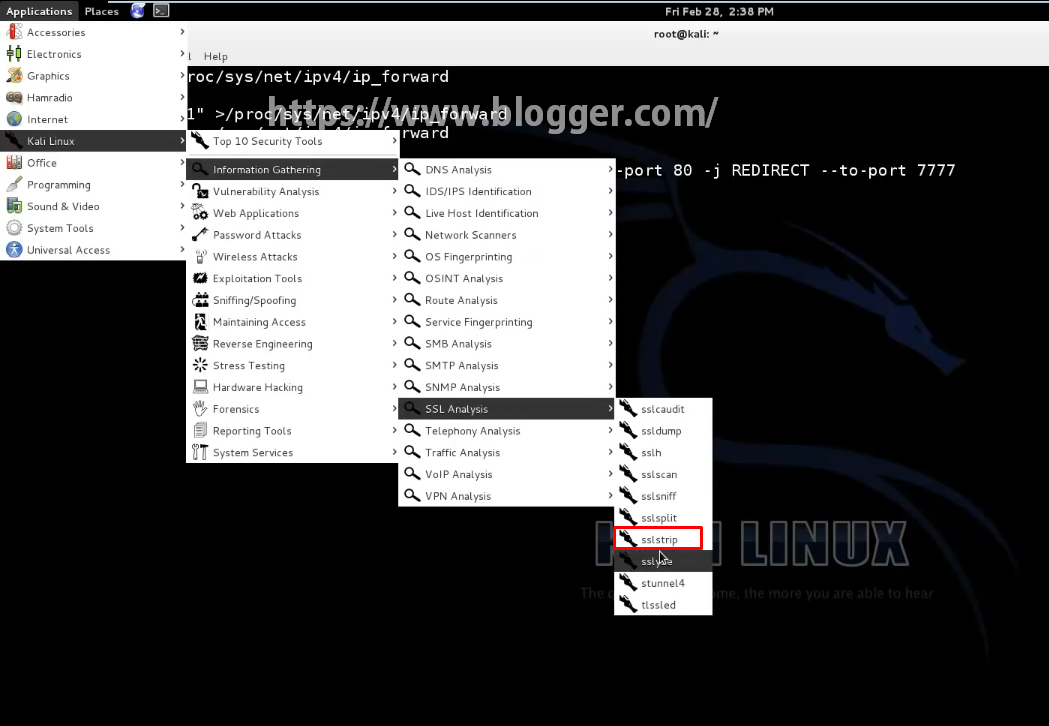 How to enable port forwarding in kali linux without router - rewabusiness