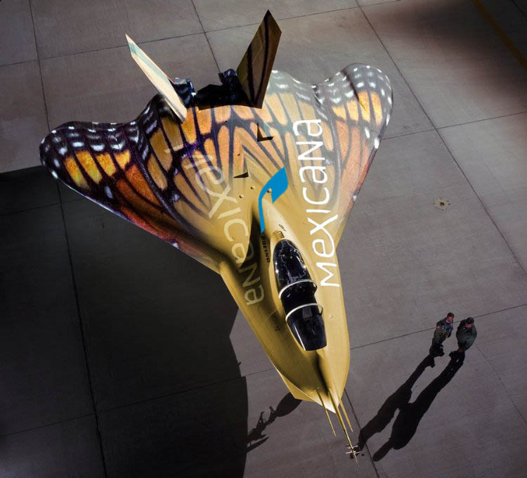 Discovery Ginger: Insectos gigantes sobre la ciudad de México