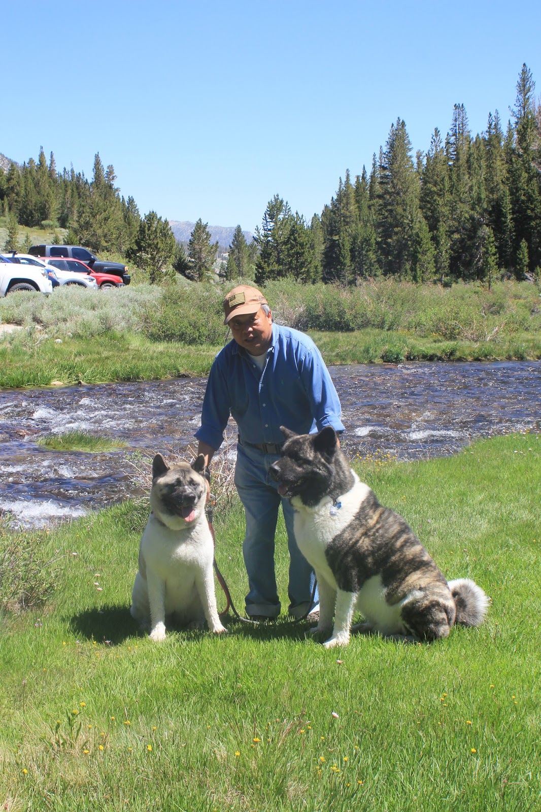 Western Sojourns: Travels with Camissonia: EASTERN & CENTRAL SIERRAS ...