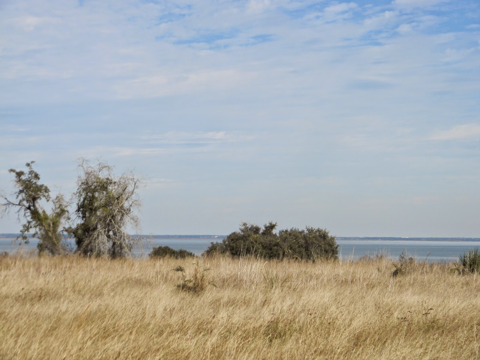 The "Unknown" Florida: Ferndale Preserve - Clermont/Ferndale, Fl