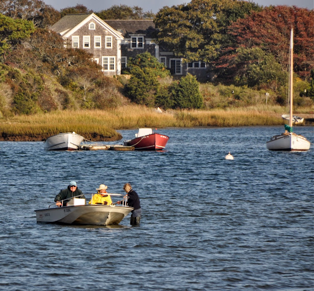 My Retiring Life: "Cape Cod is the bared and bended arm of ...