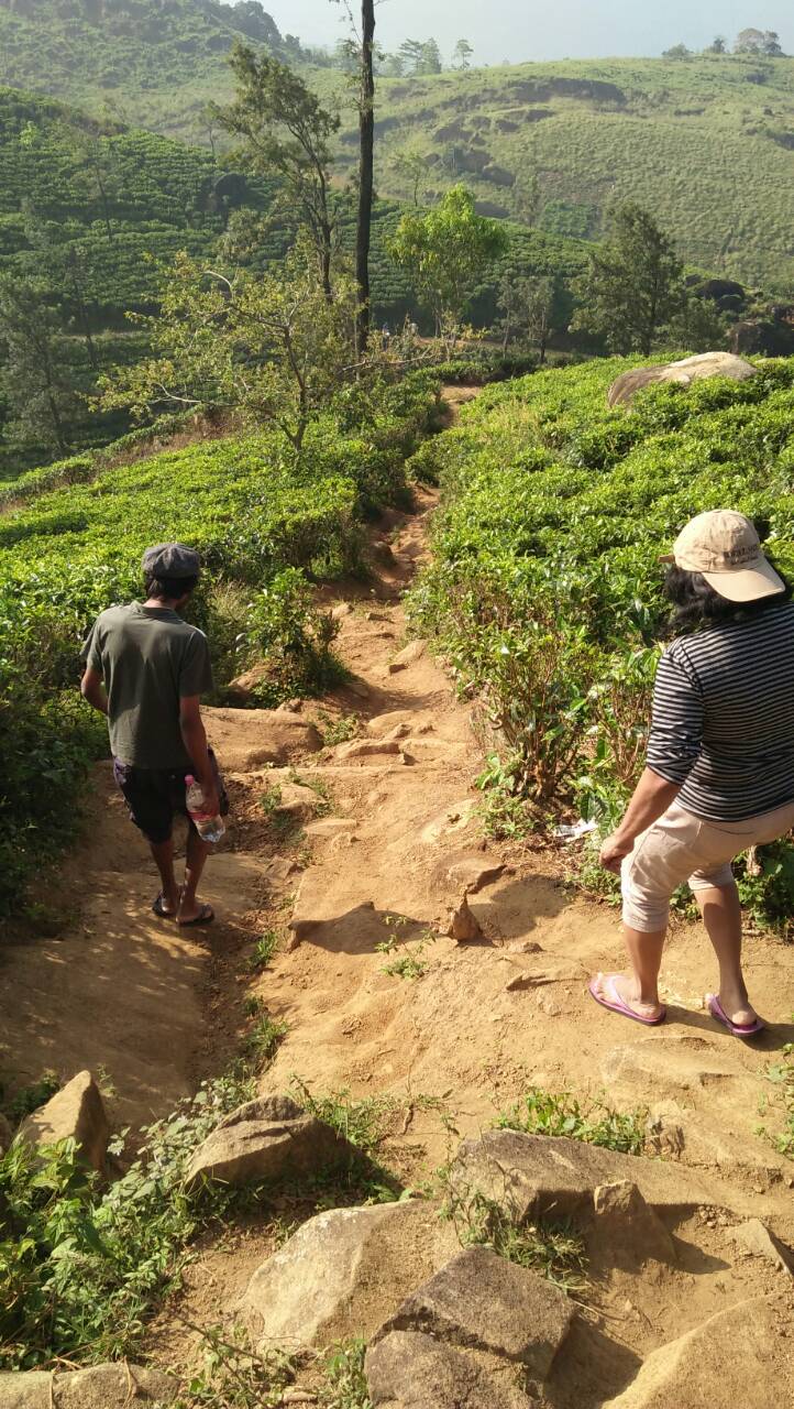 Patna View Point Deniyaya- Burusgala