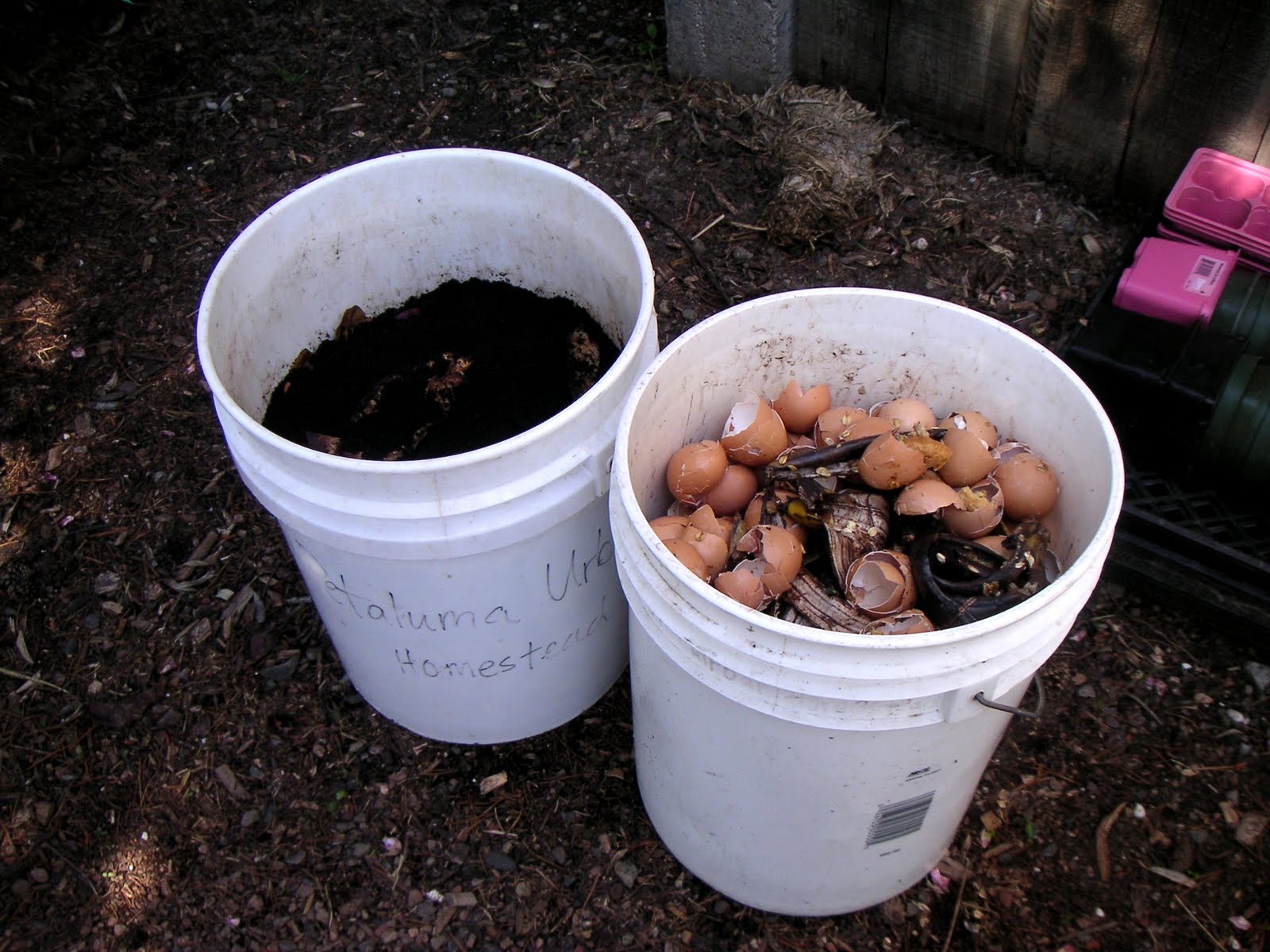 WM Kerala: How To Manage Biodegradable Wastes