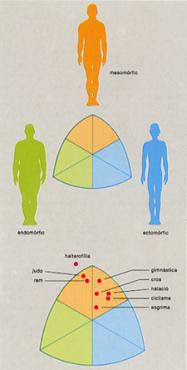 ALUMNOS de GUIJUELO del IES "VÍA DE LA PLATA": PLICÓMETRO y SOMATOCARTA ...