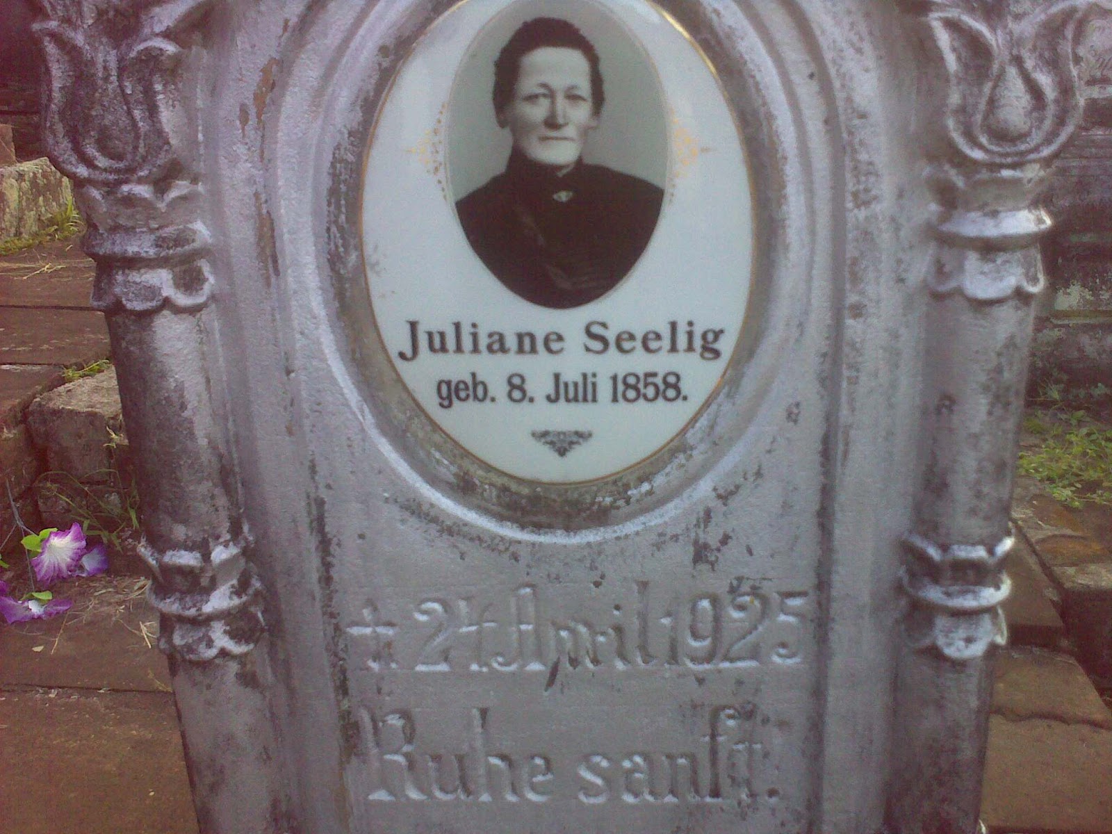 Genealogia da Família Seelig (Selig) : As Famílias Seelig no Brasil