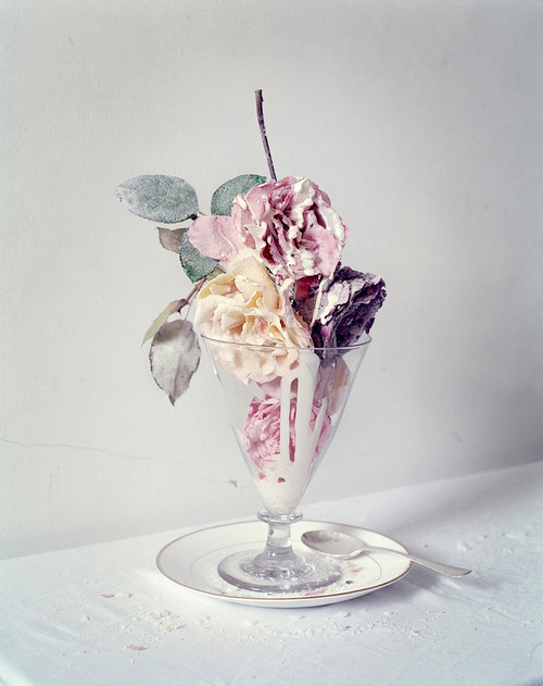 dessert girl: Tim Walker Photographs