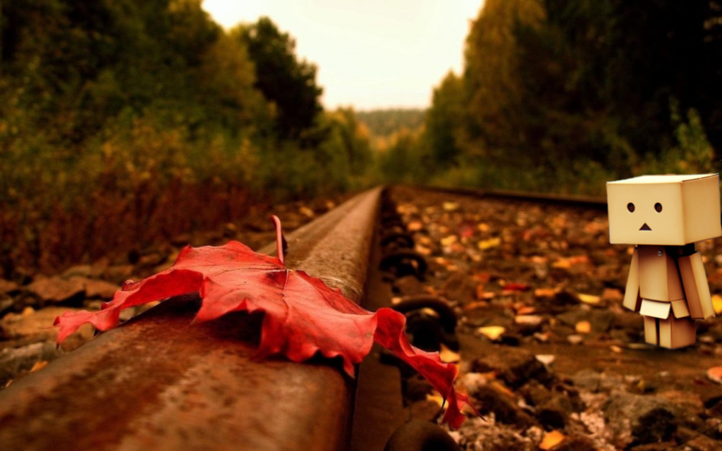 My Danbo: Danbo Wallpaper #1