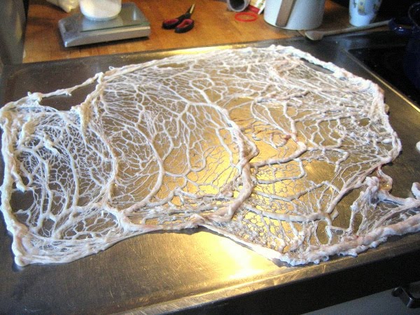 Wooly Pigs: Mangalitsa Network