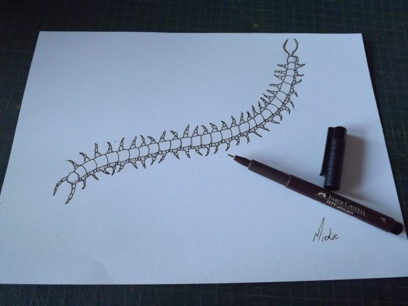 A Pretty Talent Blog: How to draw: A Centipede