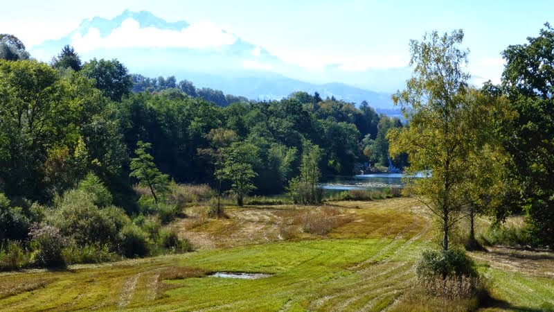 Pfannenstiel Wanderblog: Rotsee-Rundwanderung bei Luzern