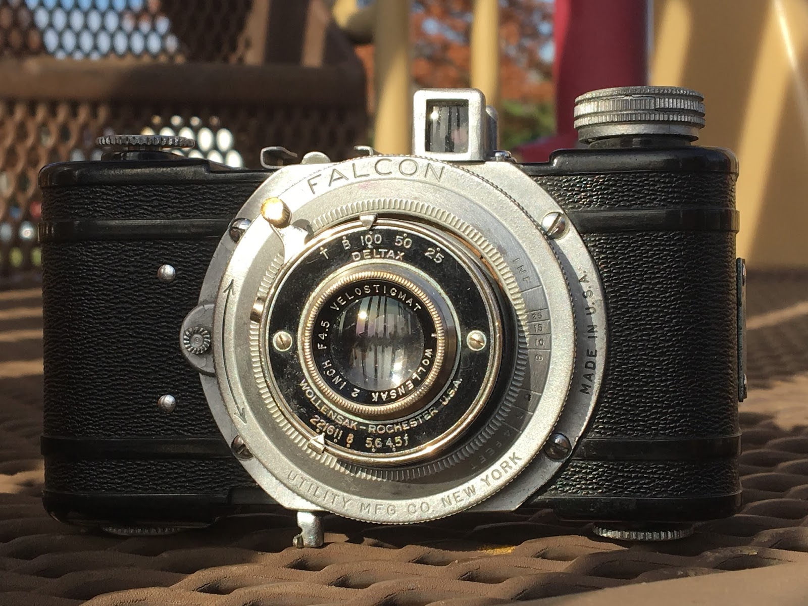 Special Falcon Camera