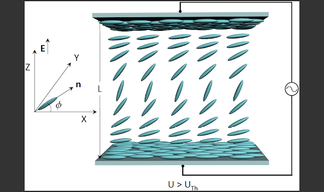 Animated Demonstration of Liquid Crystals Properties: Director ...