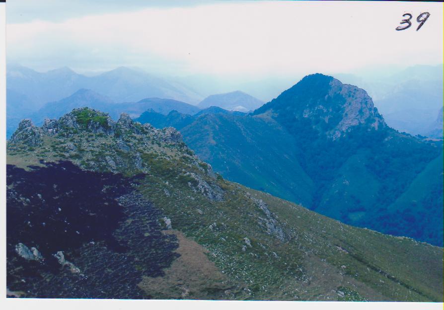 CAMINO AL ANDAR: agosto 2011