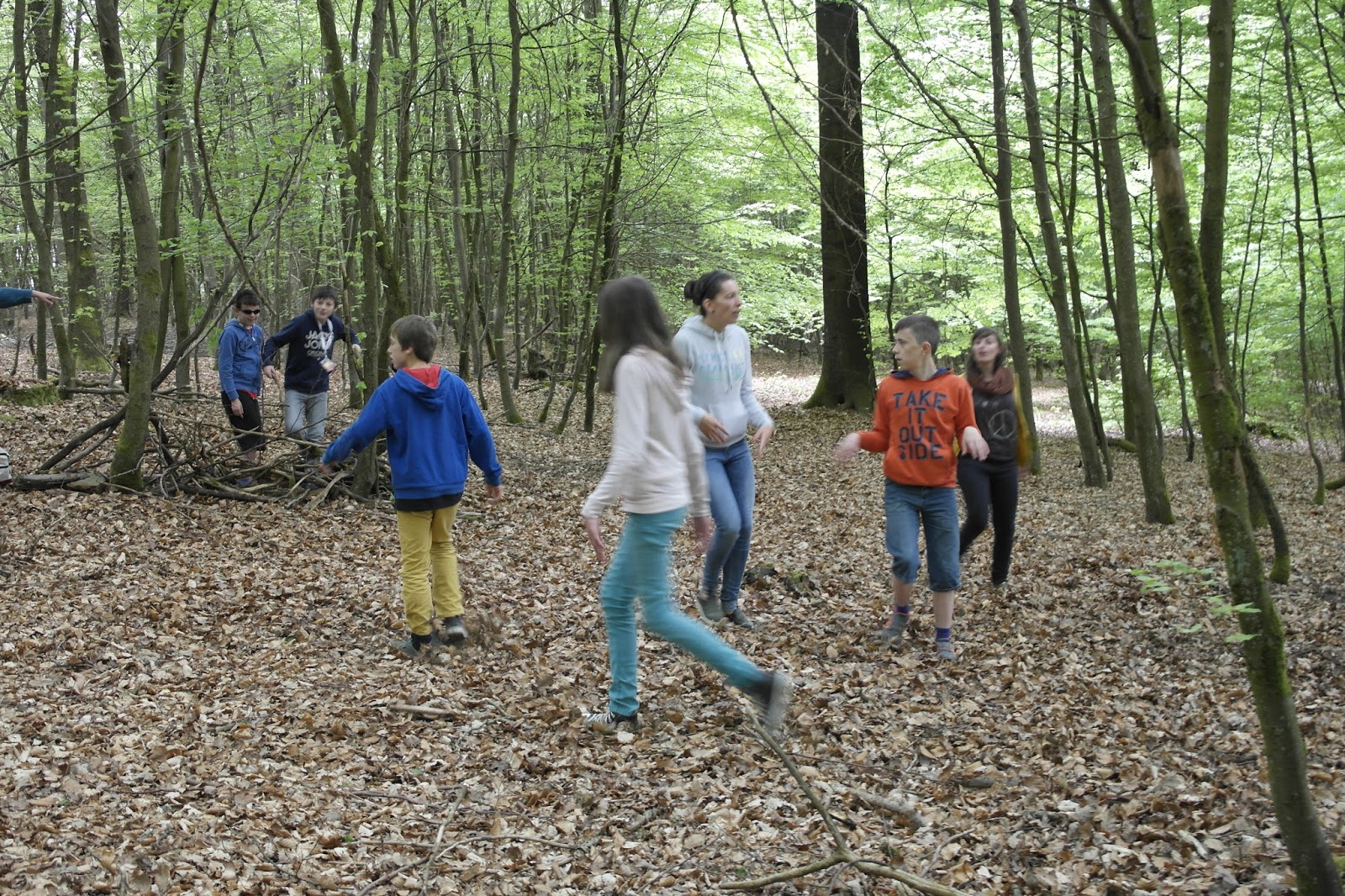 Bosklassen De Zonneroos 2016