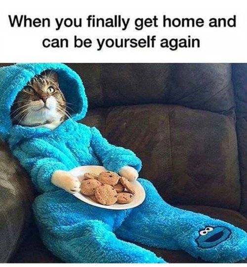 Funniest memes: Finally got home and can be yourself again