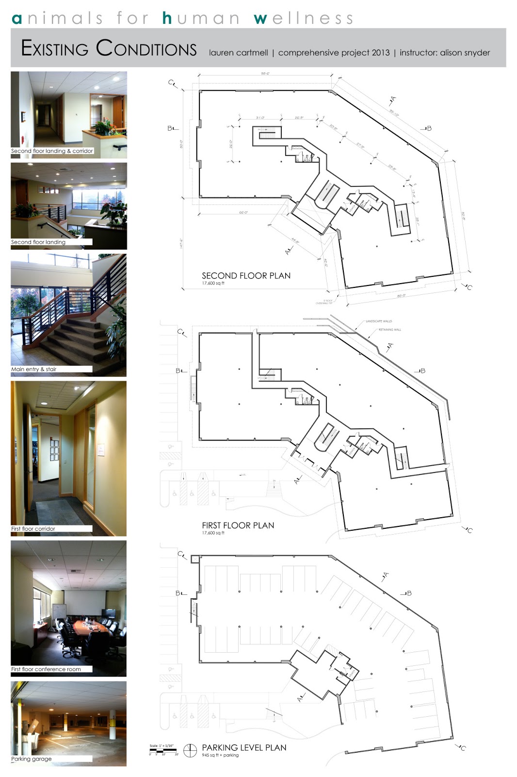 Animals for Human Wellness