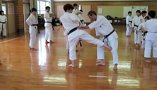 André Bertel's Karate-Do: OSAKA YOSHIHARU SENSEI SEMINAR: November 2018 ...