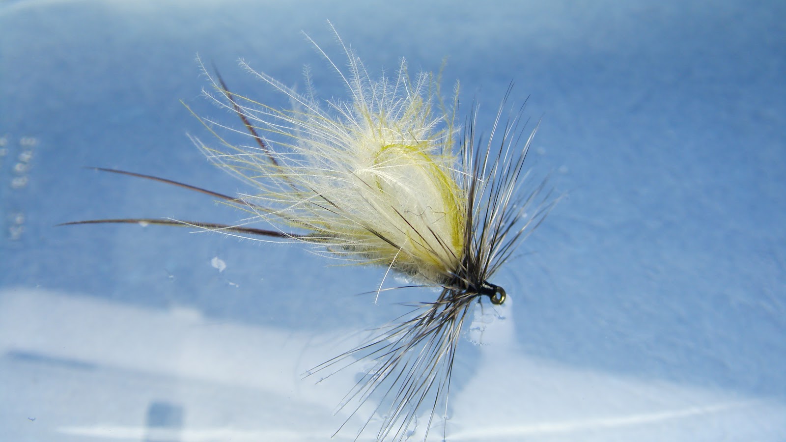 Jimmy Tyrrell Irish Fly Craft: Spent Gnat CDC loopwing