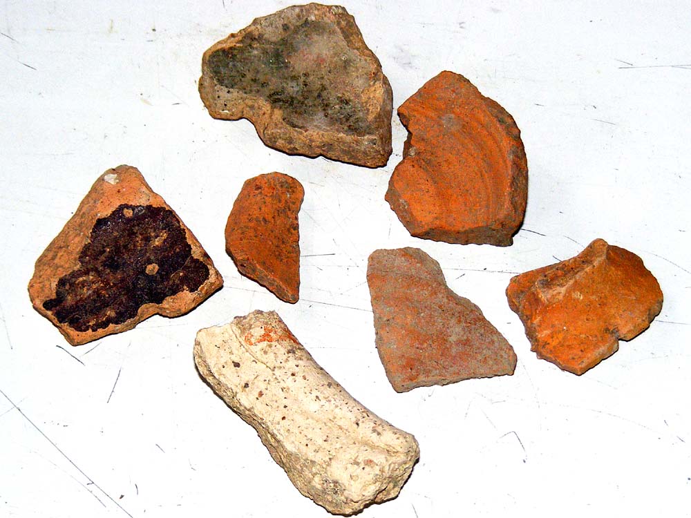 Days on the Claise: Field Walking for Roman Potsherds