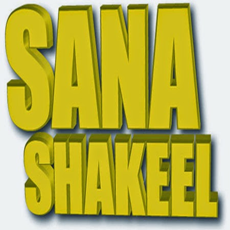 3D Name Logos: Sana Shakeel 3D Name Logo