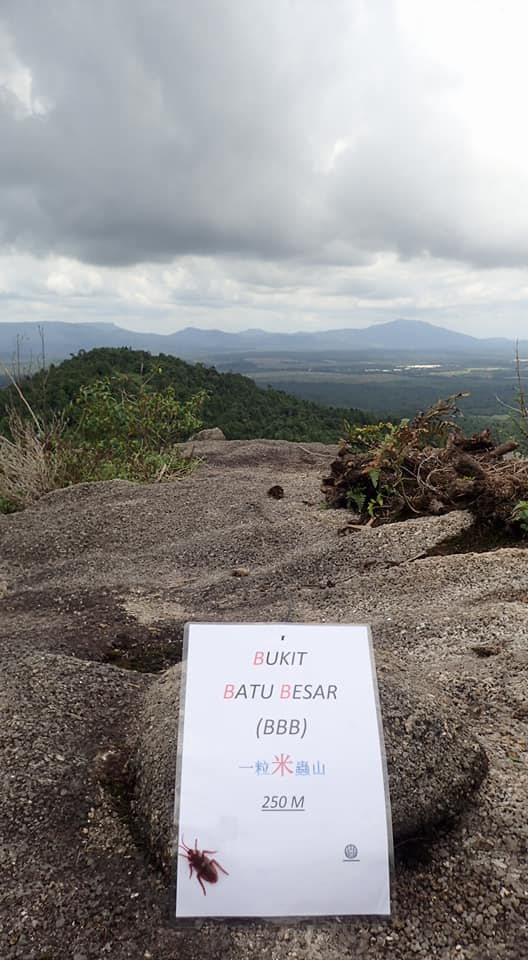 螂迹天涯: 一粒米蟲山 BUKIT BATU BESAR