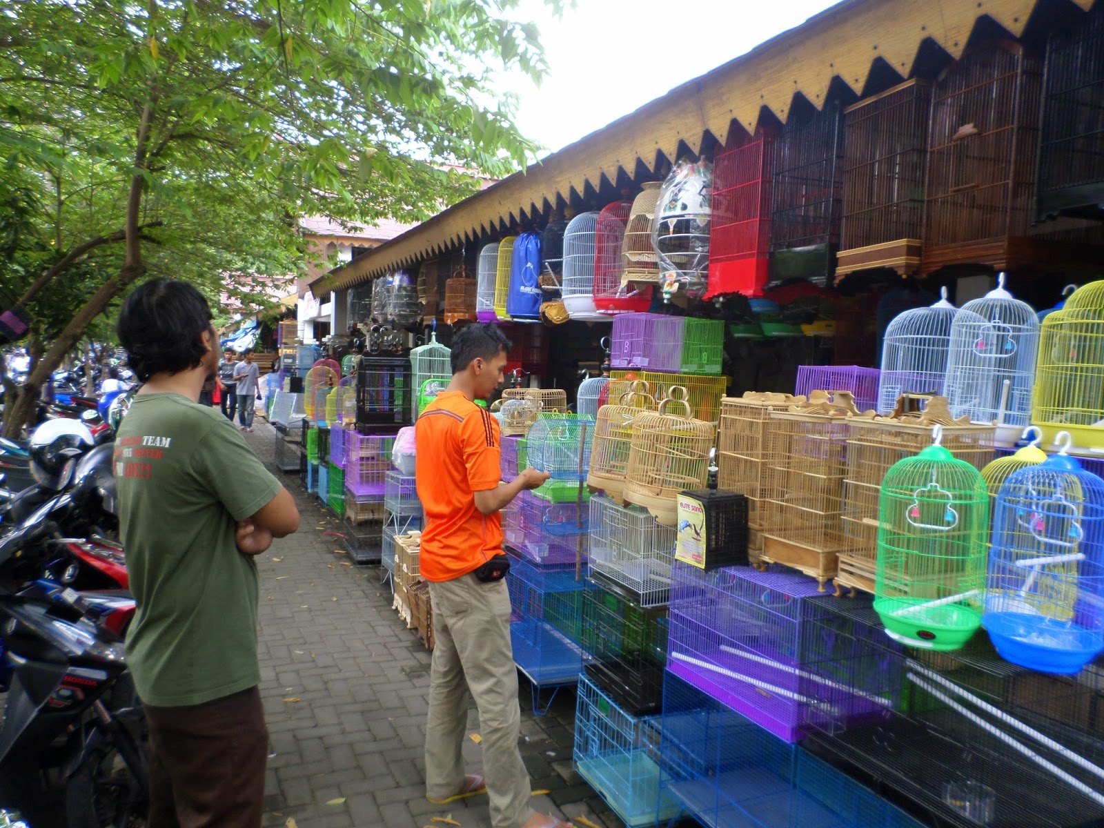 Hobi Burung: Taman Pasar Burung Depok SOLOsangkar burung kicau mania