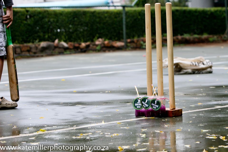 Loosh Creations: Inspiration - Cricket Themed Kids' Party