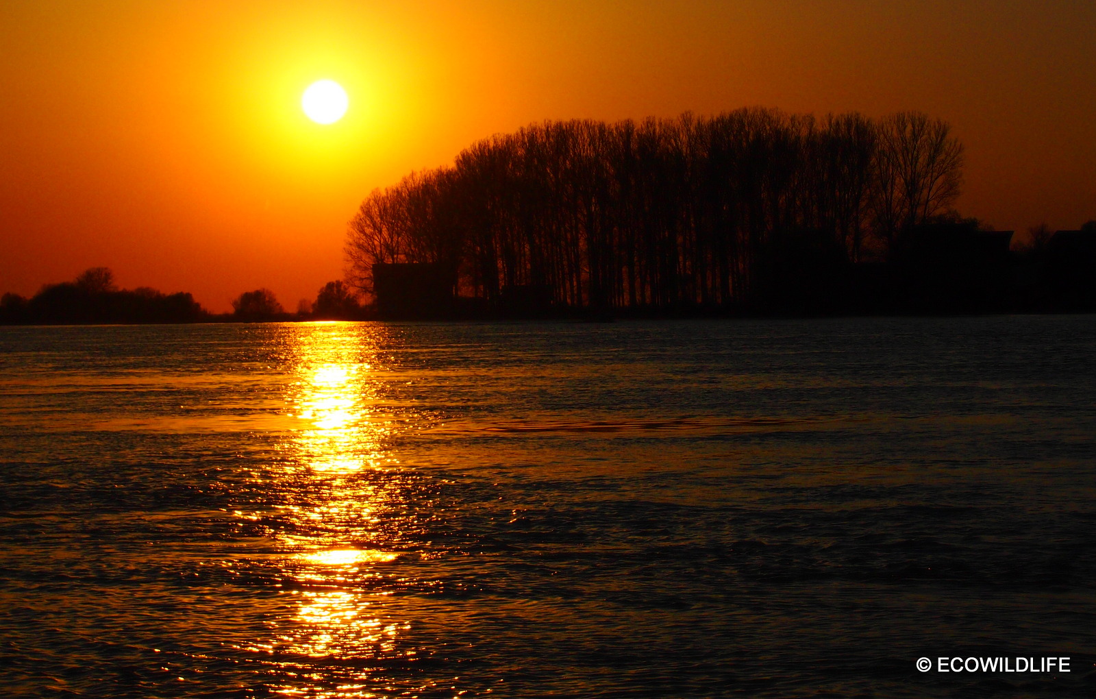 DELTA DEL DANUBIO PATRIMONIO DE LA HUMANIDAD Y RESERVA DE LA BIOSFERA ...
