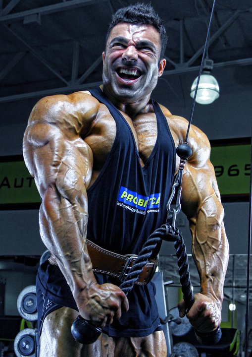 mr olympia 2012, mr olympia 2012 predictions, mr olympia 2012 winner ...