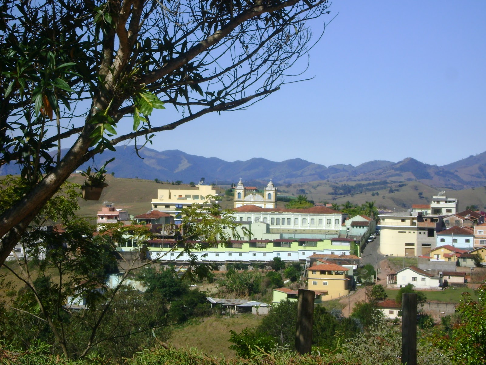 blogmiaira: trilha em Cunha SP (mata atlantica)