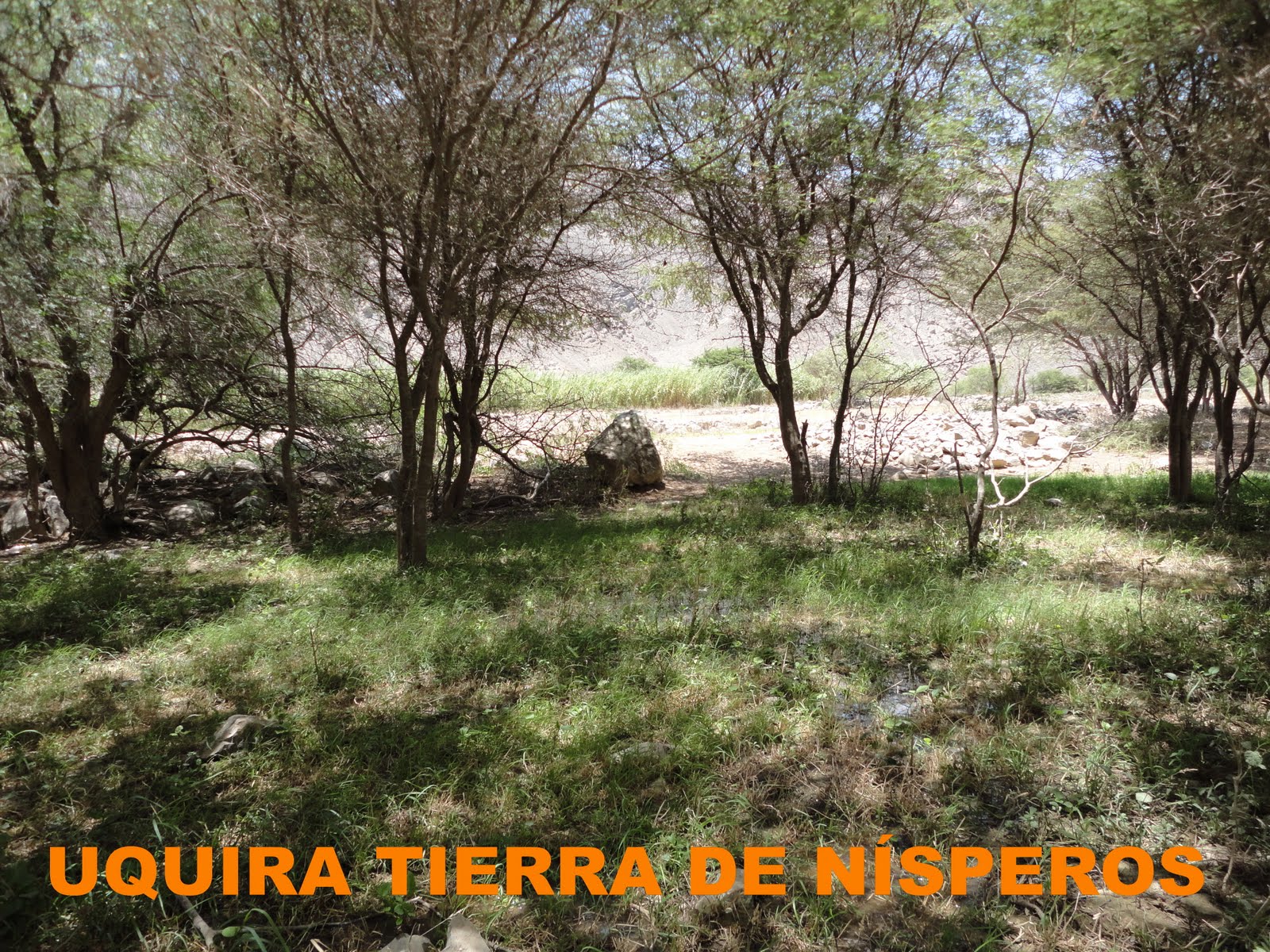UQUIRA TIERRA DE NÍSPEROS: CAMINATA DE UQUIRA A LA YESERA