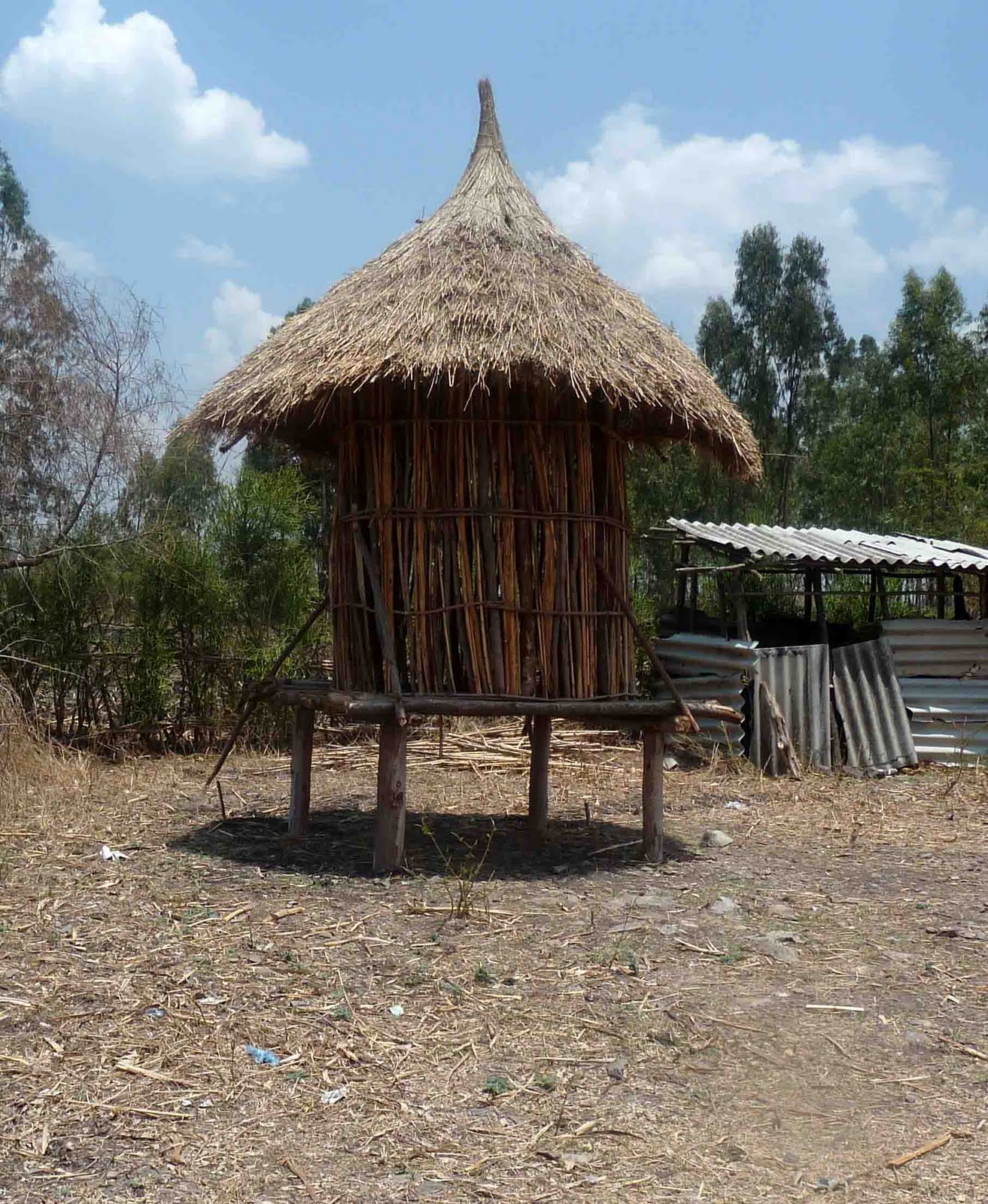 Community Driven Initiatives in Ethiopia: What the heck is asset-based ...