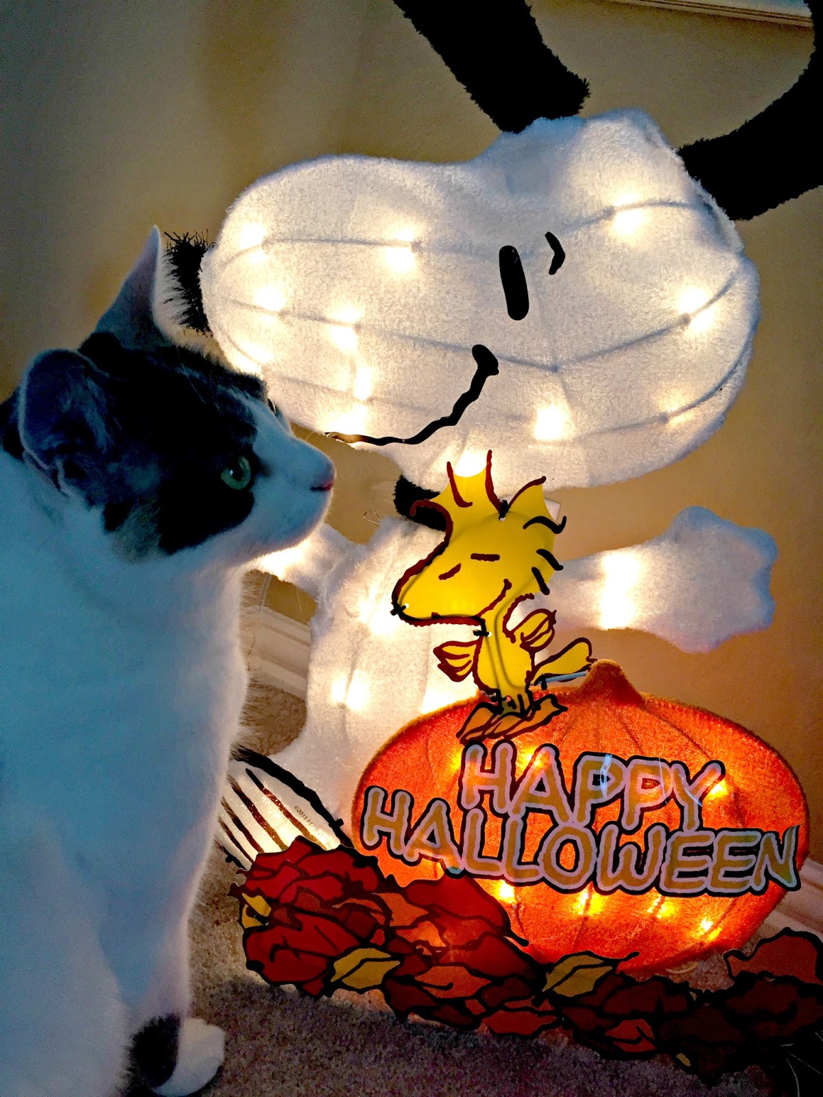 Estelle's: HALLOWEEN EVE