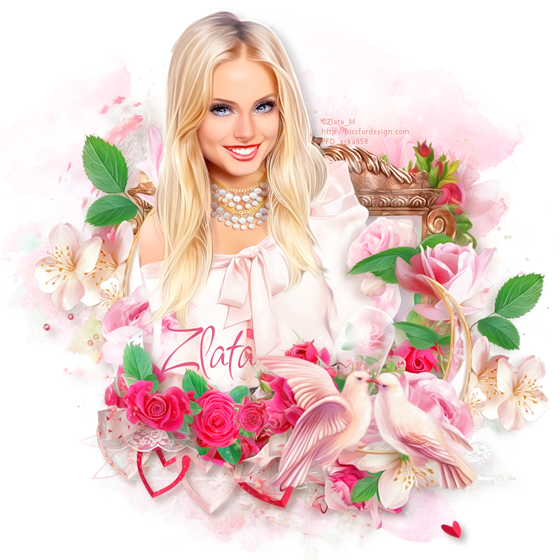 Aska's Welt der Bilder: CT Zlata M