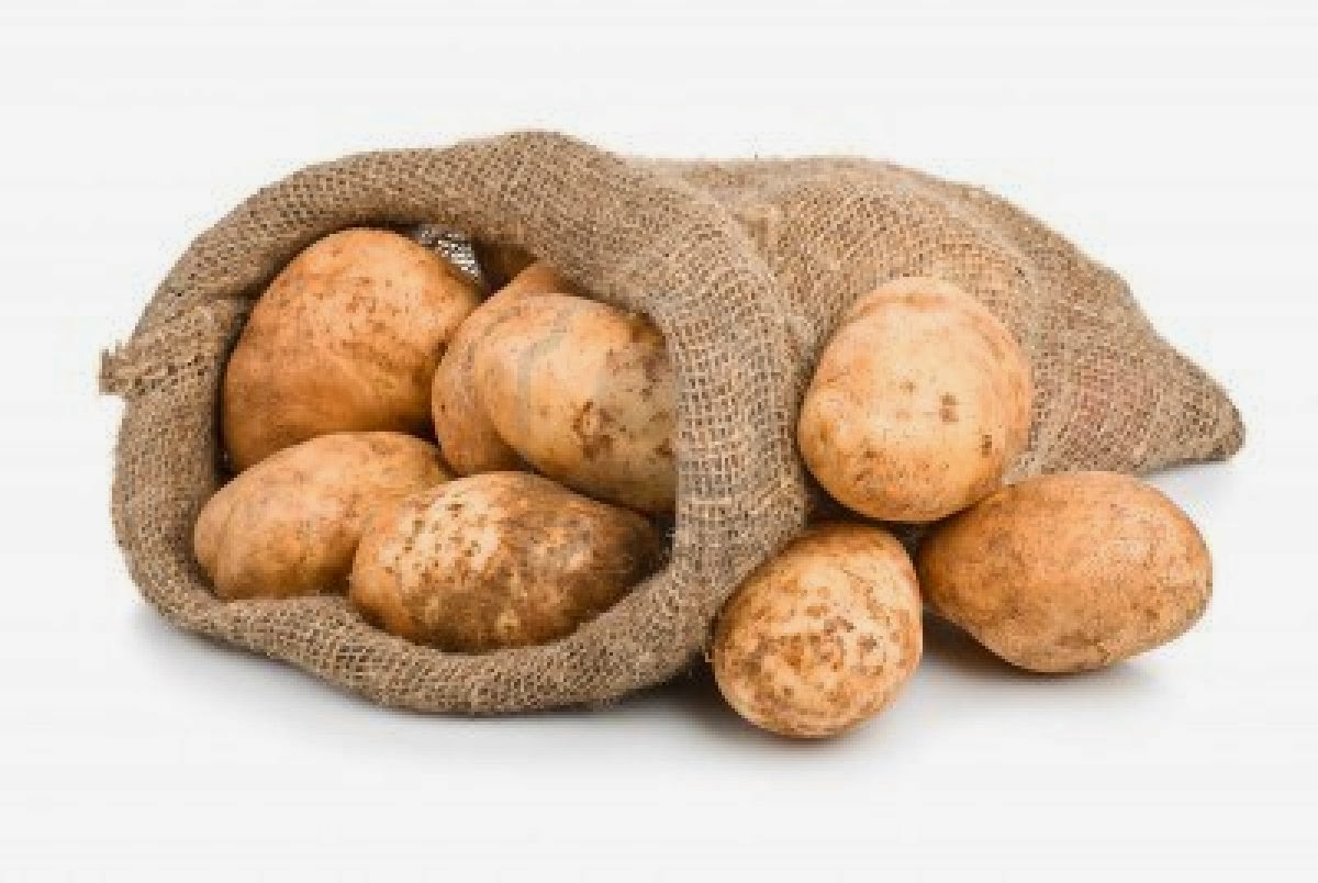 Por Amor a Sofía Achamoth: El perdón