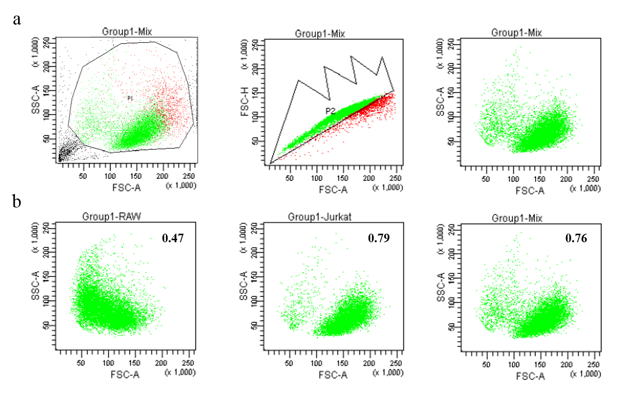 MMI 490: Light scatter properties of cultured murine macrophage and ...