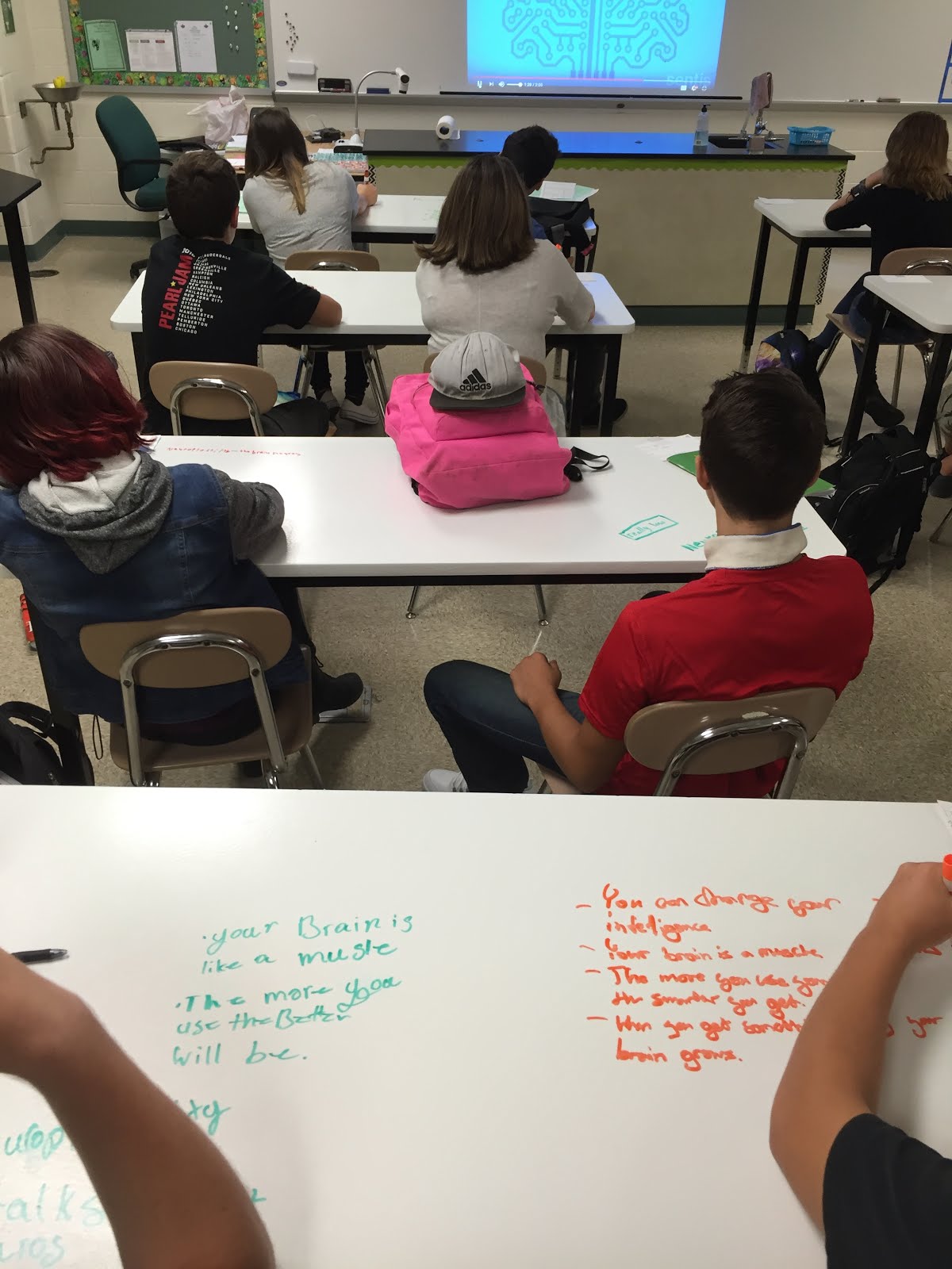 Sunshine State Science: $10 Dry Erase Tables