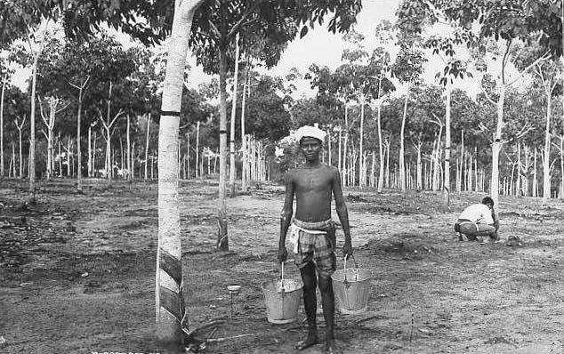 JOE CHELLIAH @ JOHAMI ABDULLAH