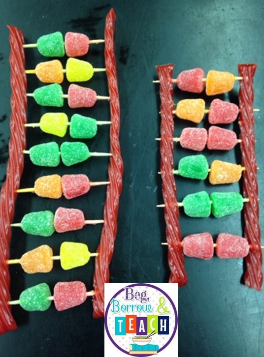 Dna Structure Model Candy